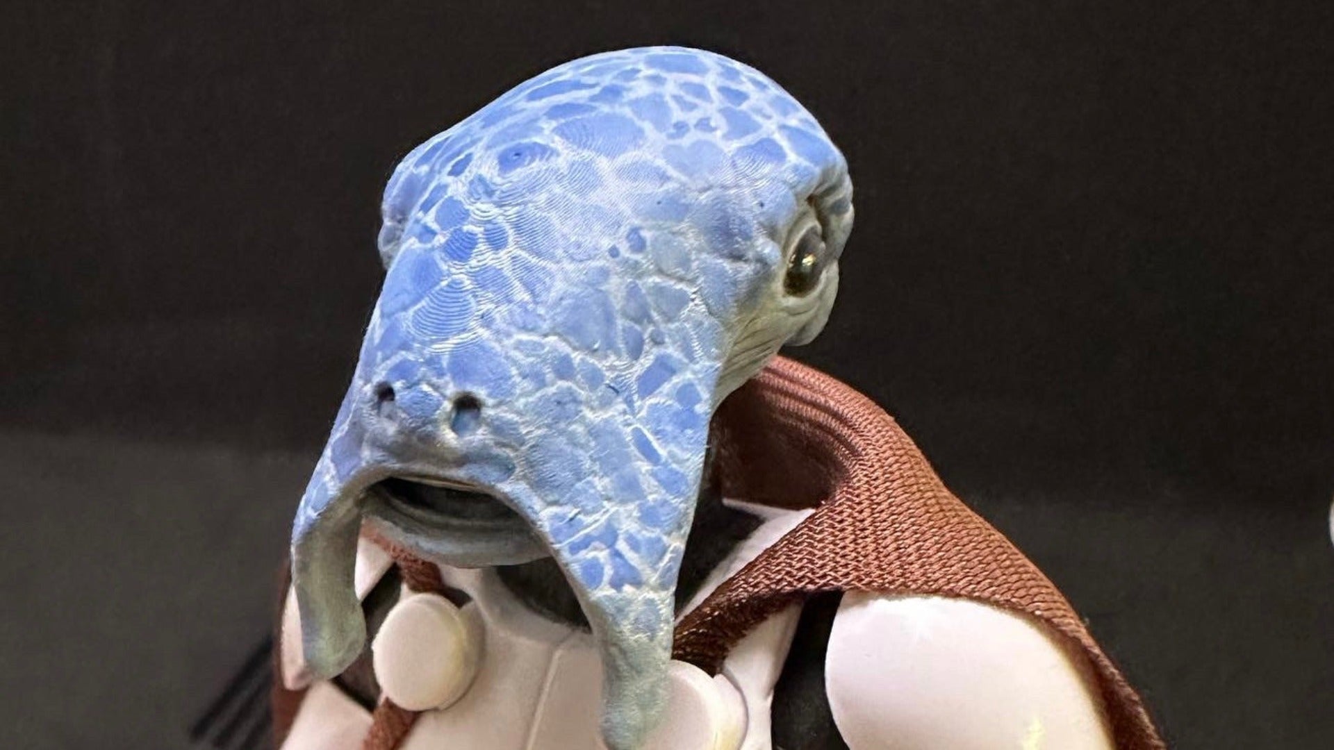 Selkath Head – Syndicate Customs